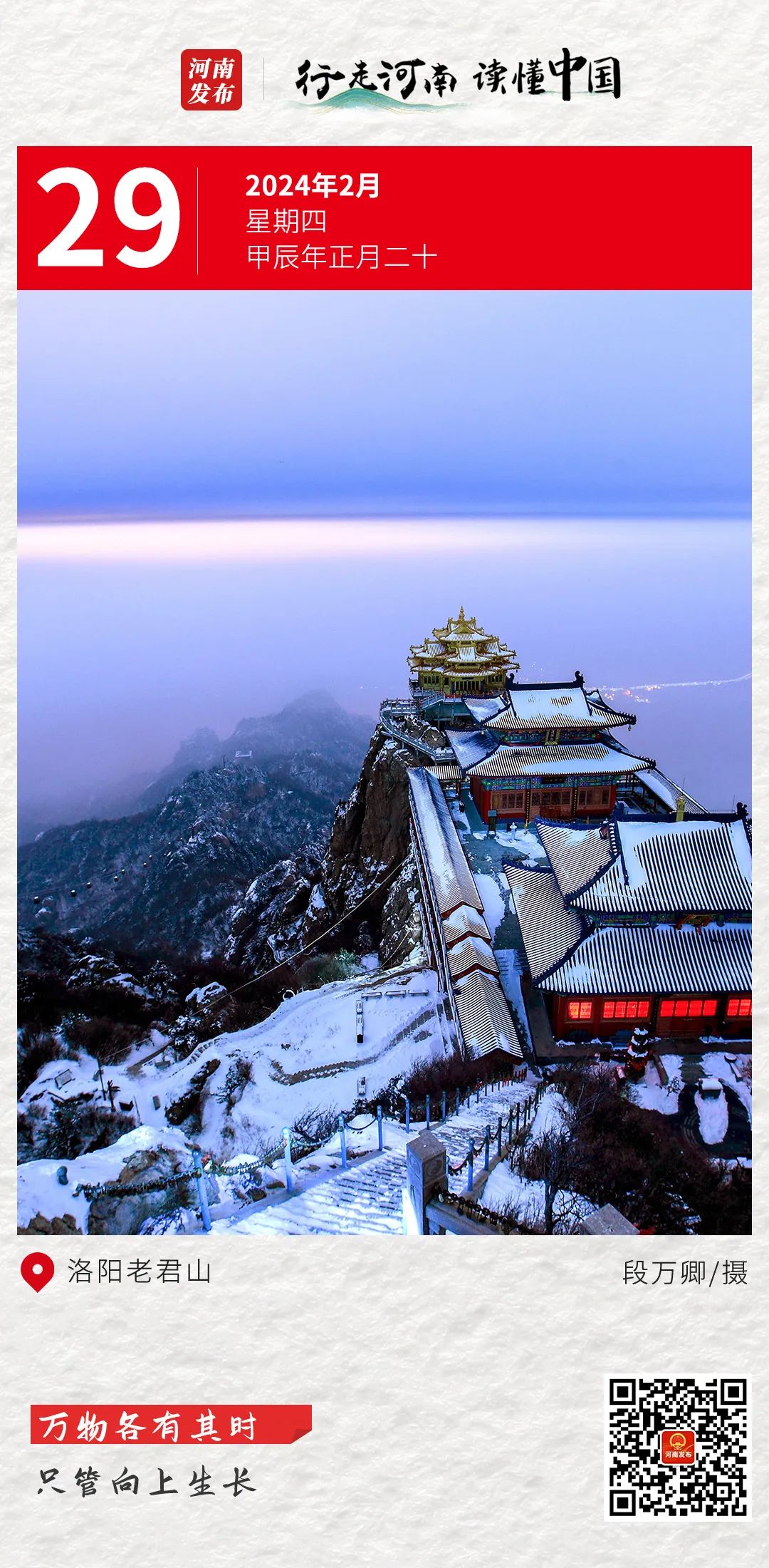 【行走河南•读懂中国】万物各有其时，只管向上生长行走河南 读懂中国河南省人民政府门户网站
