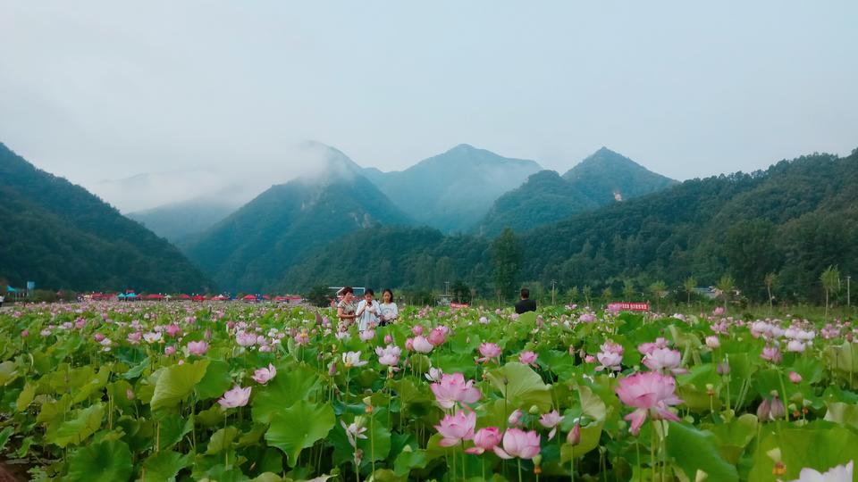 Henan's Rural Revitalization Bolstered by Ecological Tourism_Henan ...
