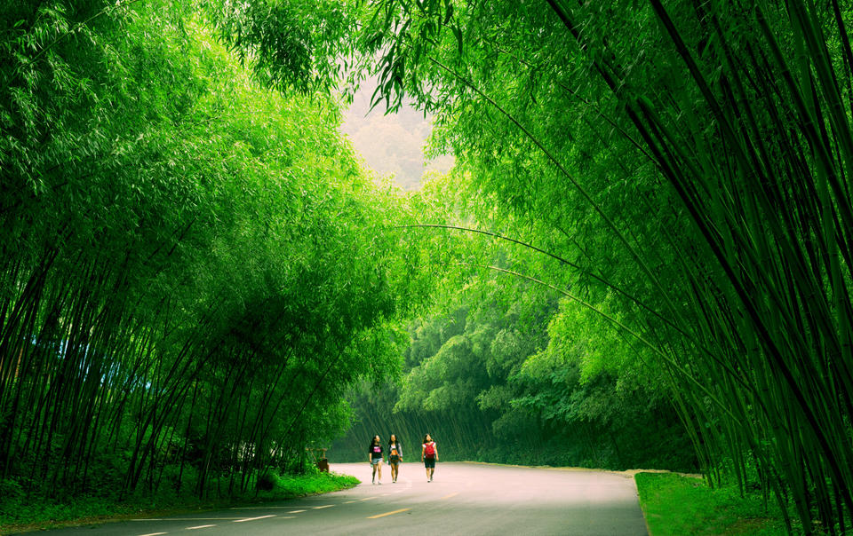 Henan's Rural Revitalization Bolstered by Ecological Tourism_Henan ...