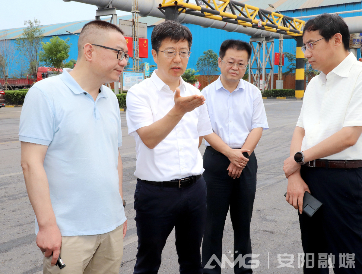 安阳市市长高永在调研督导钢铁产业整合工作时强调 加快整合步伐促进钢铁产业高质量发展市县河南省人民政府门户网站